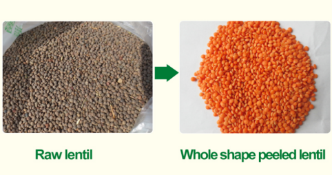 Projects of maize milling machine and lentil process line - Shining