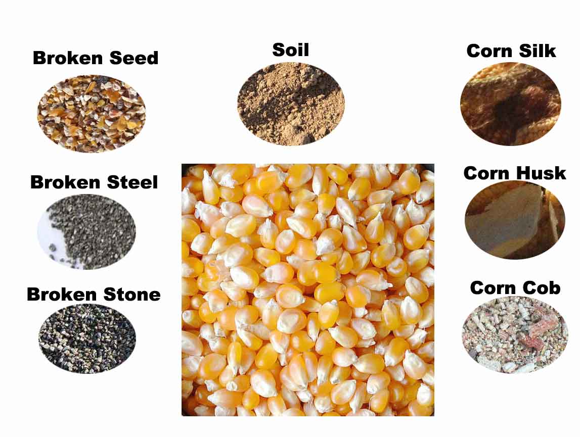 seed cleaning machine -High efficiency-Guangzhou Shining Equipments