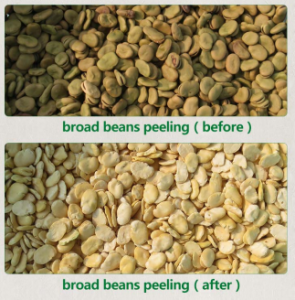 broad bean peeling machine-Lowest beans breakage rate-Shining