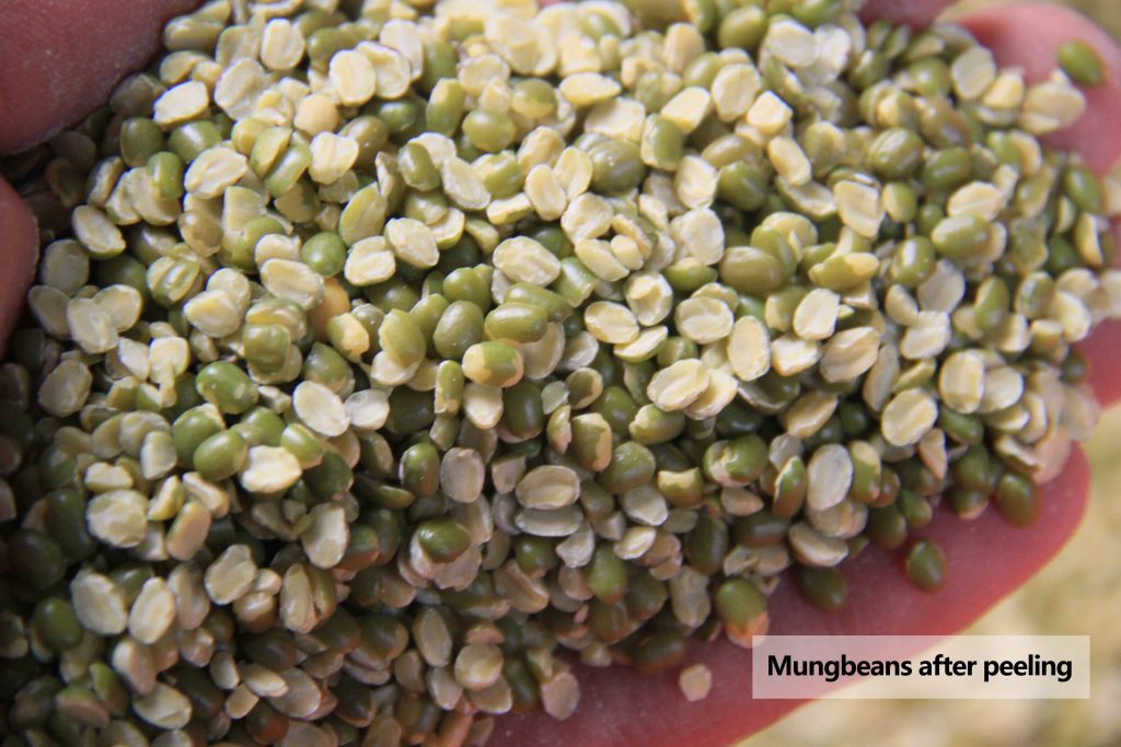 Pulses Milling Machine- pulse skin removing | peeling -Shining Technology