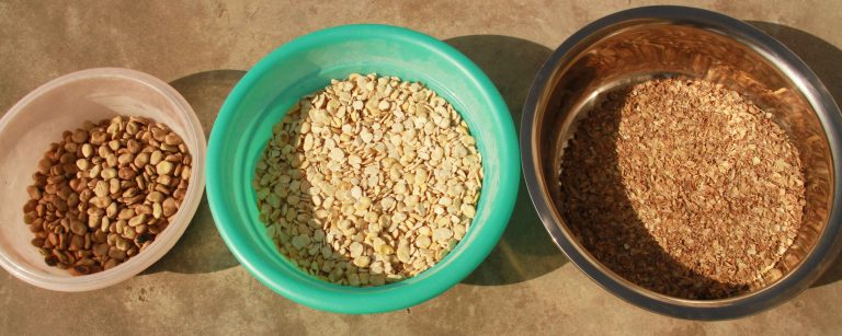 broad bean peeling machine-Lowest beans breakage rate-Shining