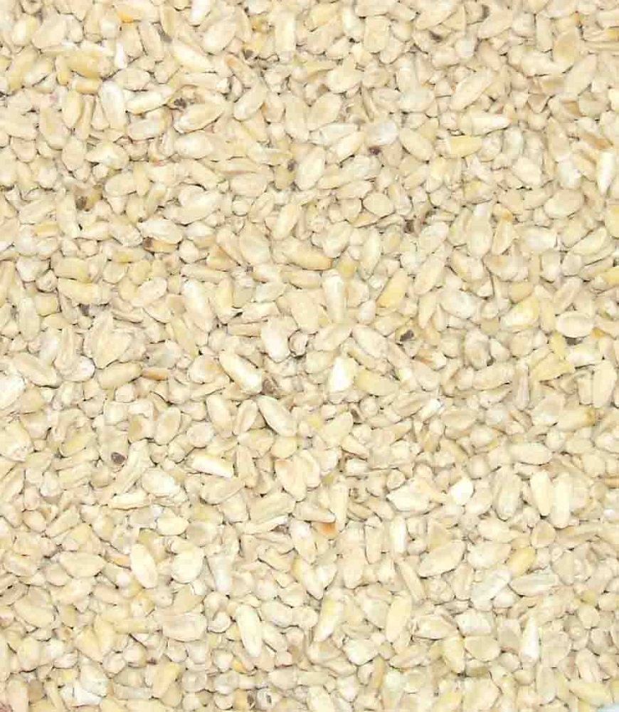 Maize Milling Plant - Maize Germ Maize Grits Maize Flour Plant - Shining